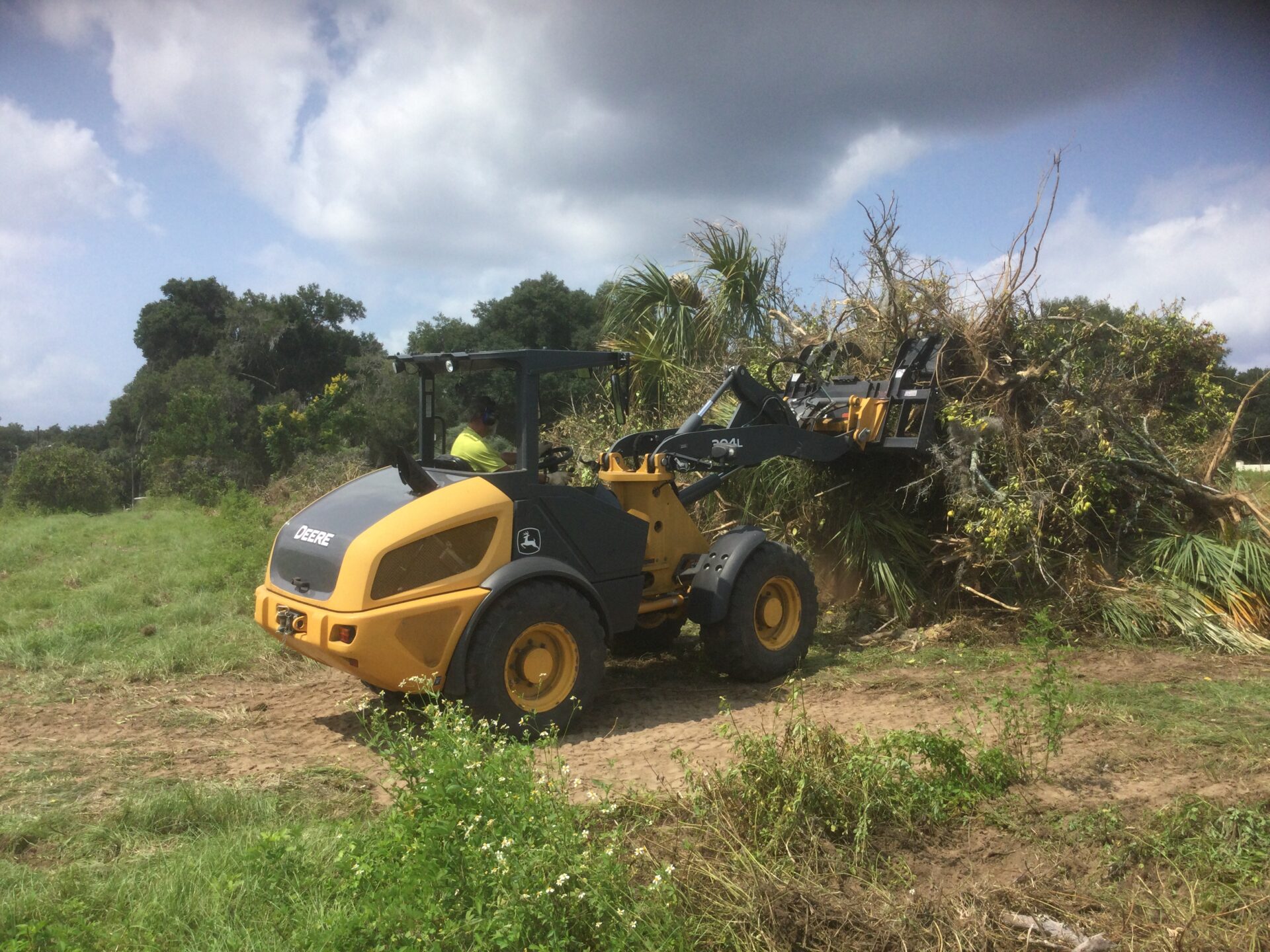 Orange grove tree, stump and brush clearing -Bush Hog Gone Wild