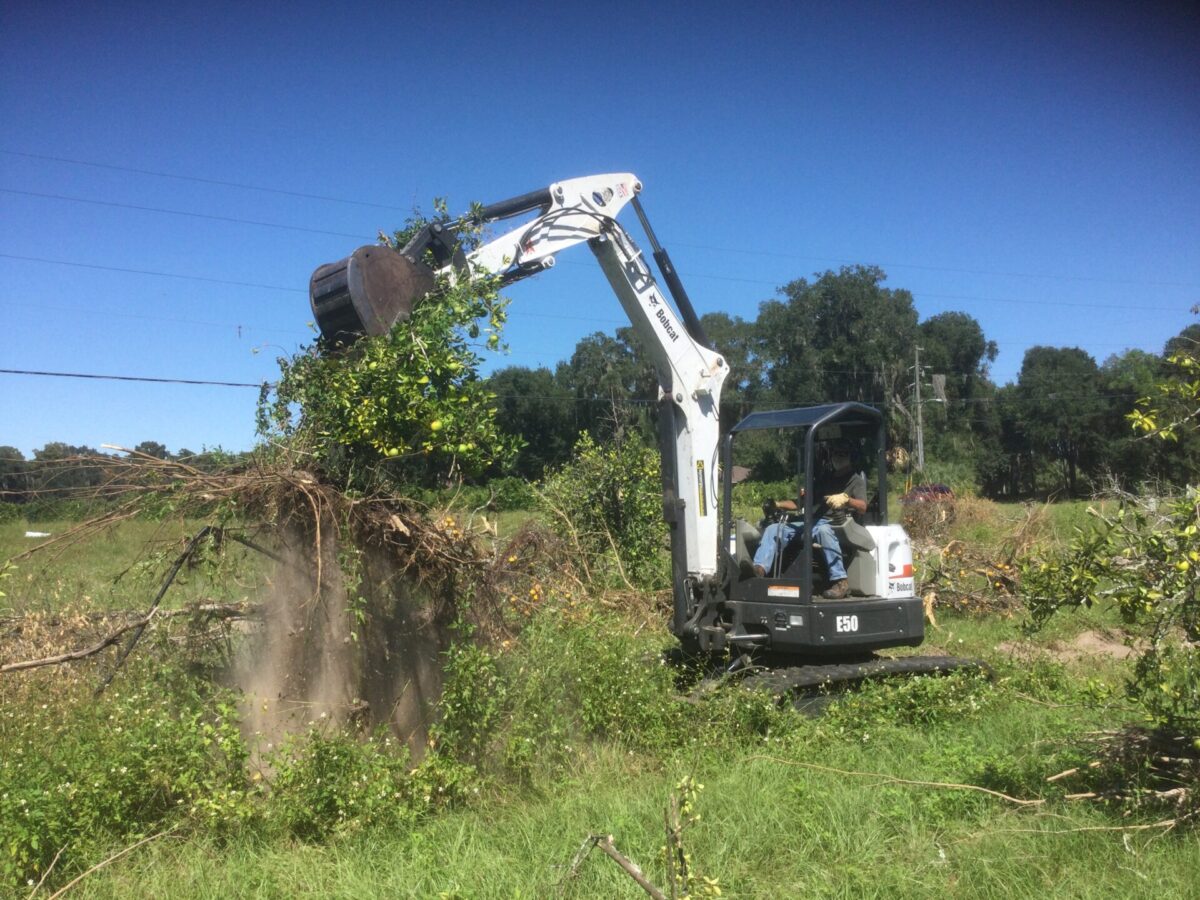 Orange grove tree stump bush hogging - Bush Hog Gone Wild