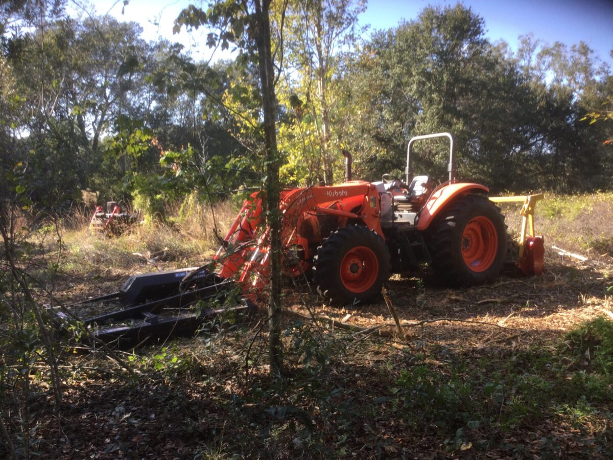 Bush hog Brush hog Forestry mulching Land clear - Wesley Chapel