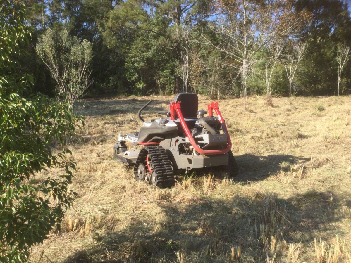Bush hogging / Brush hog clearing, Tree & Stump –Zephyrhills area