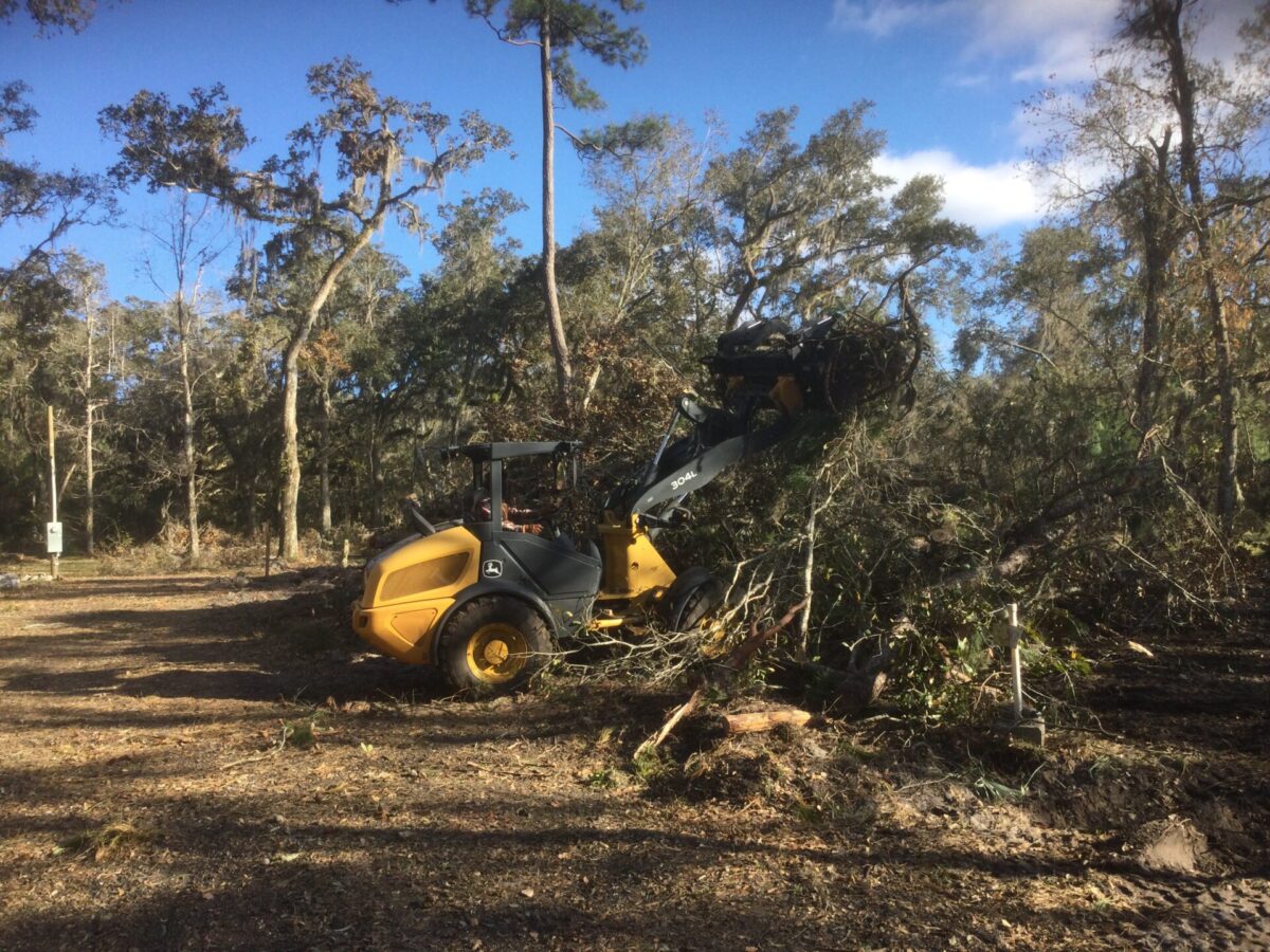 Bush hog / Brush hogging, Tree & Stump Removal–Spring Hill area