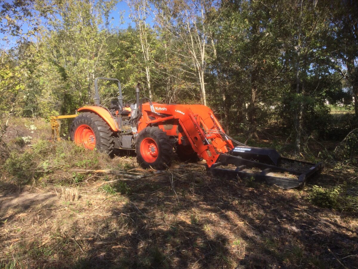 Bush hogging / Brush hog clearing, Tree & Stump-Homosassa area