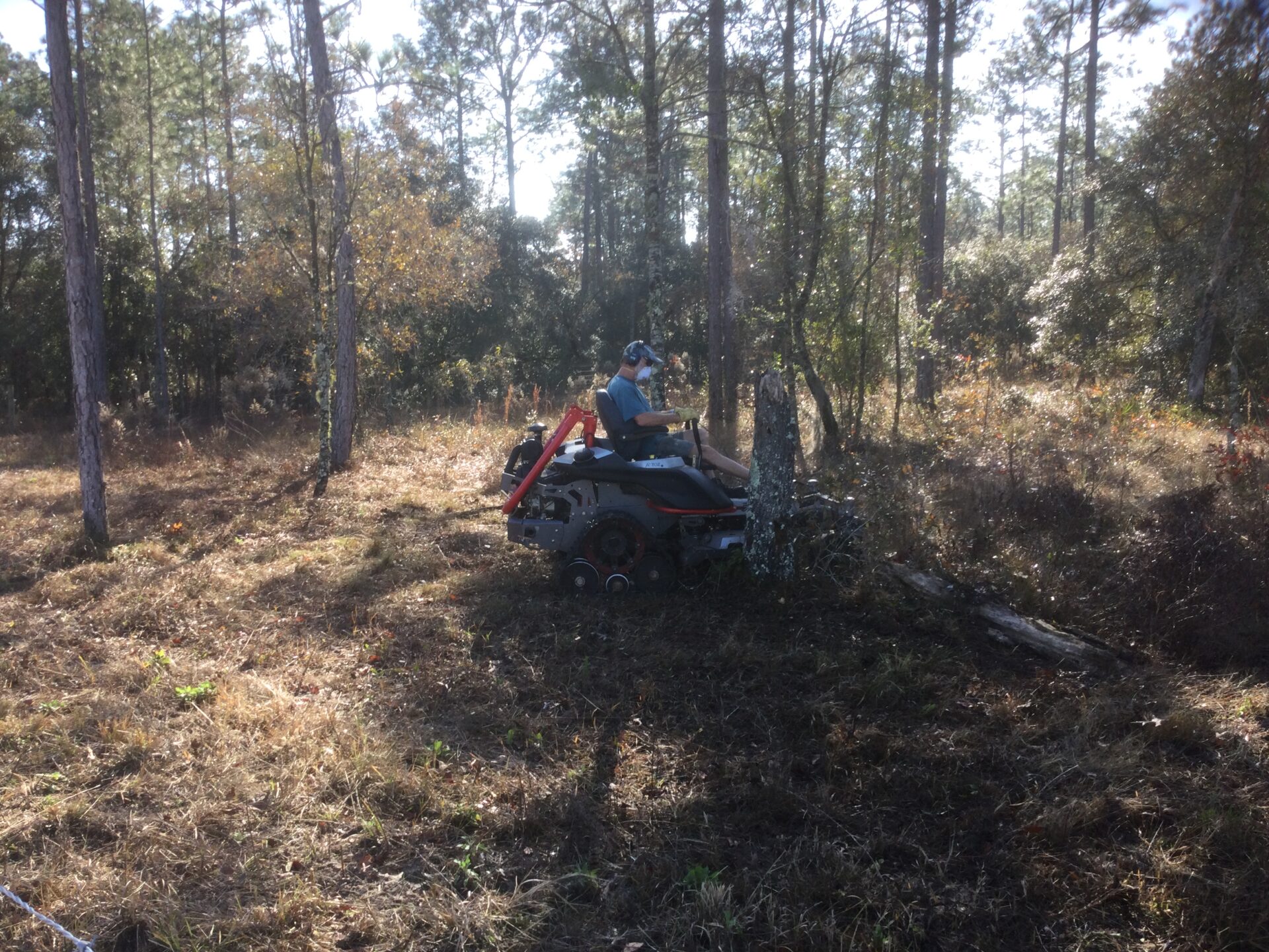 Bush hogging / Brush hogging & Forestry mulching - Citrus Springs