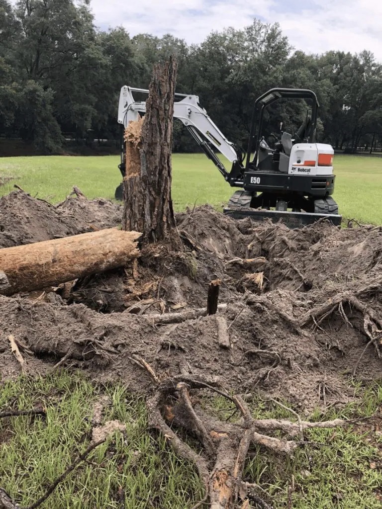 Tree & stump removal, asphalt millings drives| West Central Florida