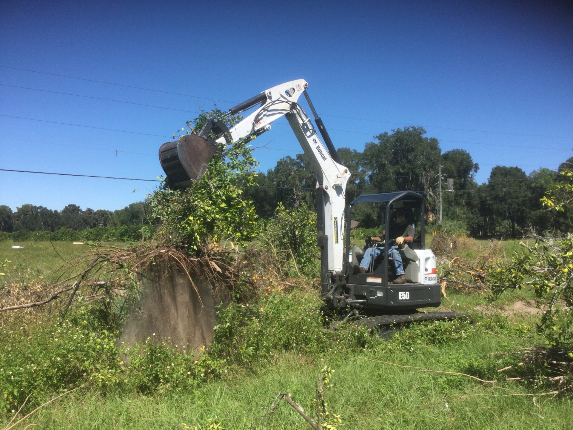 Tree & stump removal, asphalt millings drives | Wst Central Florida