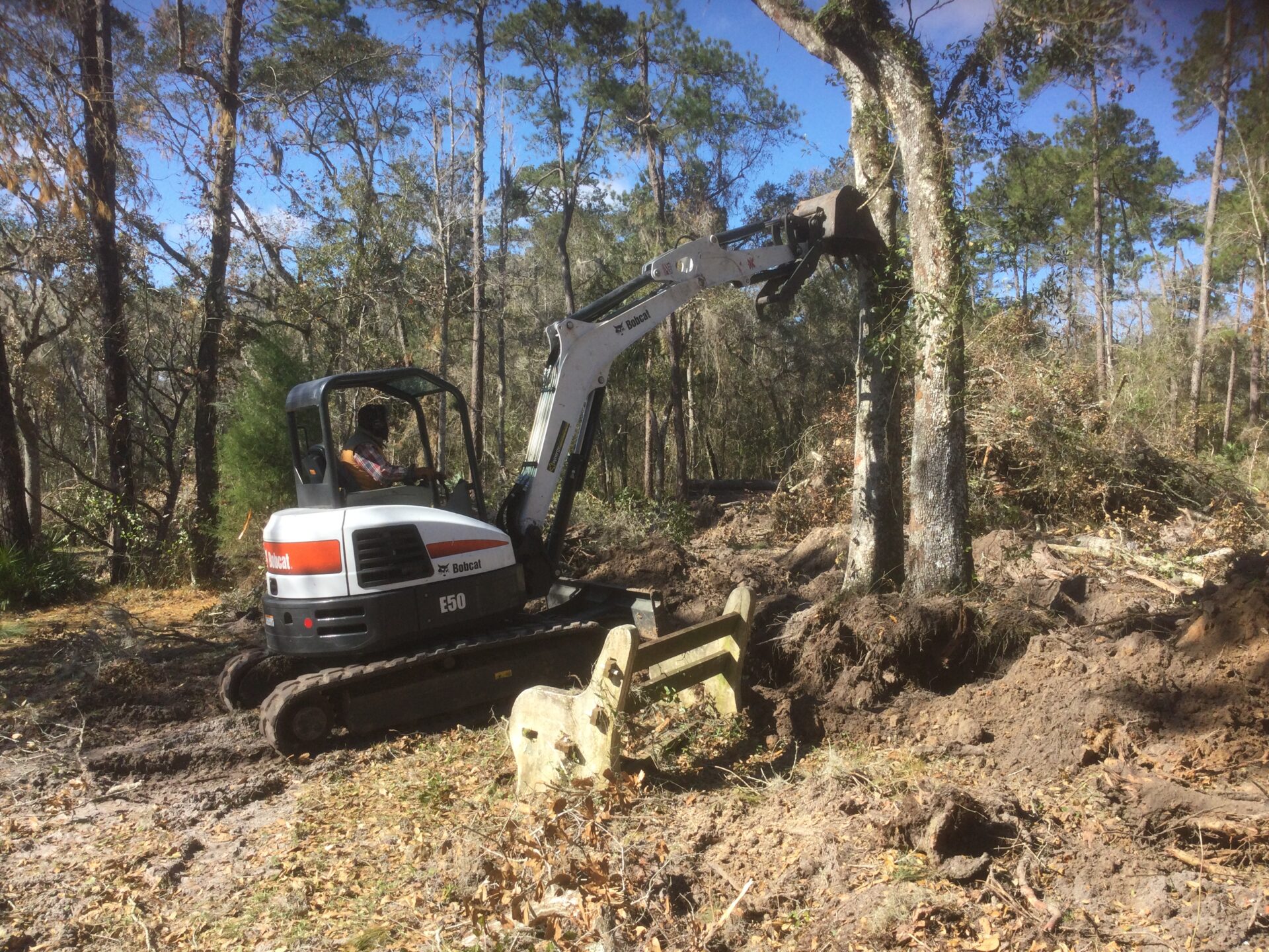 Tree & stump removal, asphalt millings drives| West Central Florida